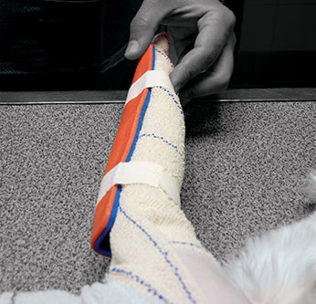 SOFT SPLINT ROLL – Génia USA Inc.